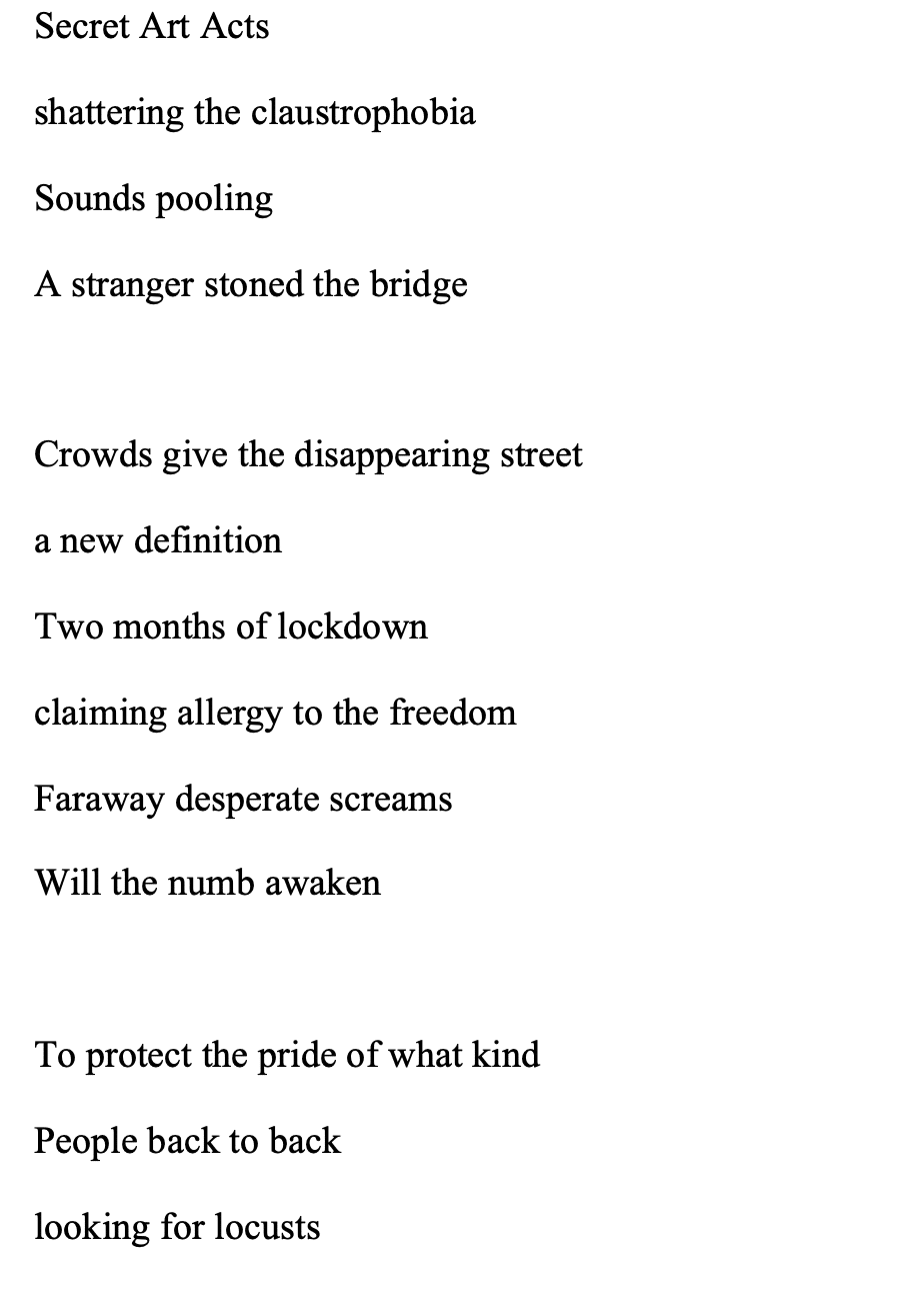 Hedgehog: poems on the Chinese protests - positions politics