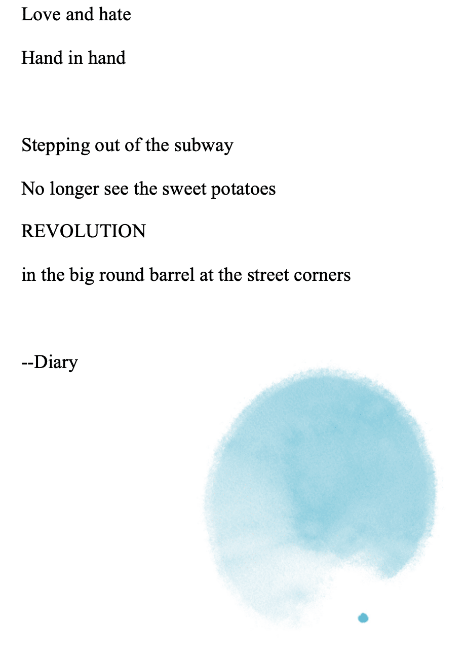 Hedgehog: poems on the Chinese protests - positions politics