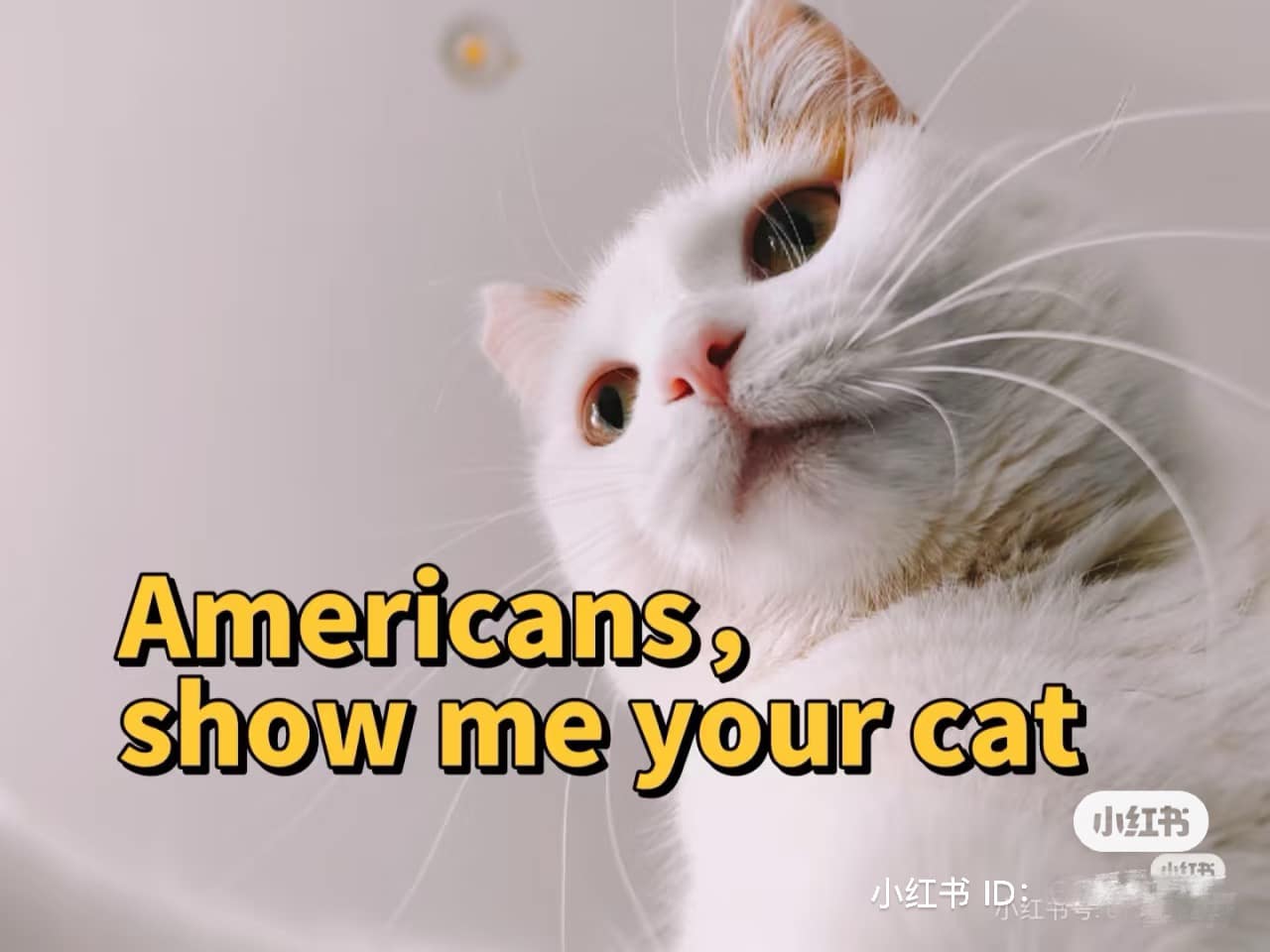 Lilian Kong and Shiqi Lin, “Hello My Chinese Spy, Take My Data”: Welcome to the Playground of ...